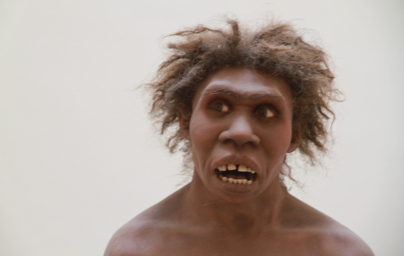 Origines du langage - Hominides