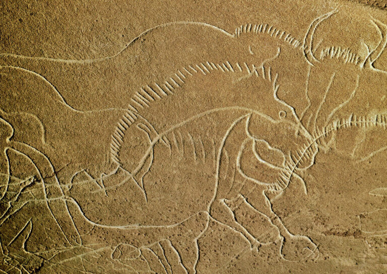 Les techniques utilisées dans l'art pariétal préhistorique - Hominides