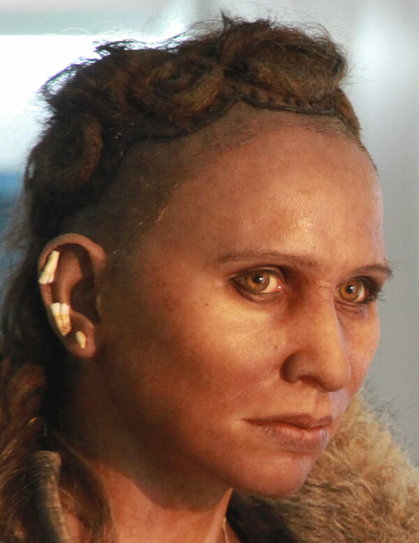 Homo sapiens - Hominides