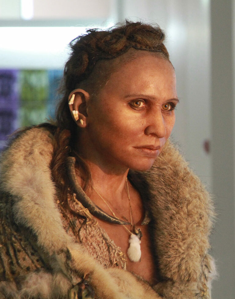 Lady Sapiens - Documentaire - Hominides
