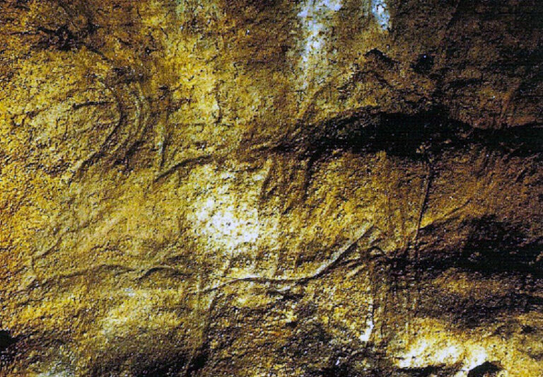 Les techniques utilisées dans l'art pariétal préhistorique - Hominides