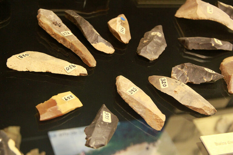 Premiers outils de la préhistoire - Hominides