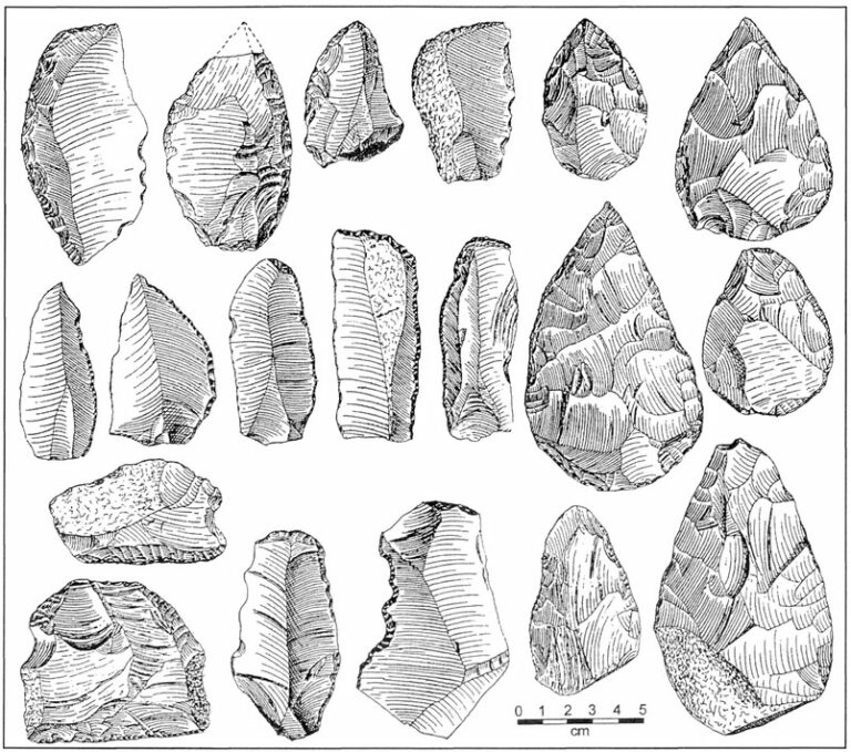 Premiers outils de la préhistoire - Hominides