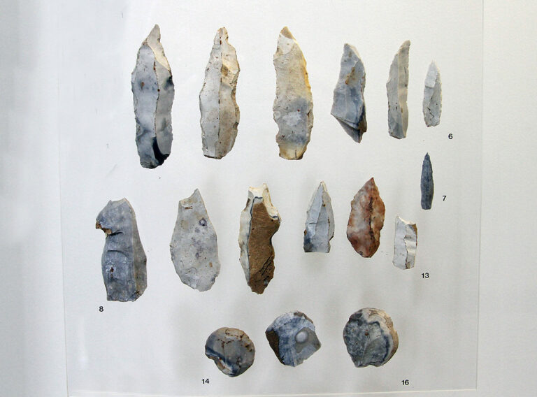 Premiers outils de la préhistoire - Hominides