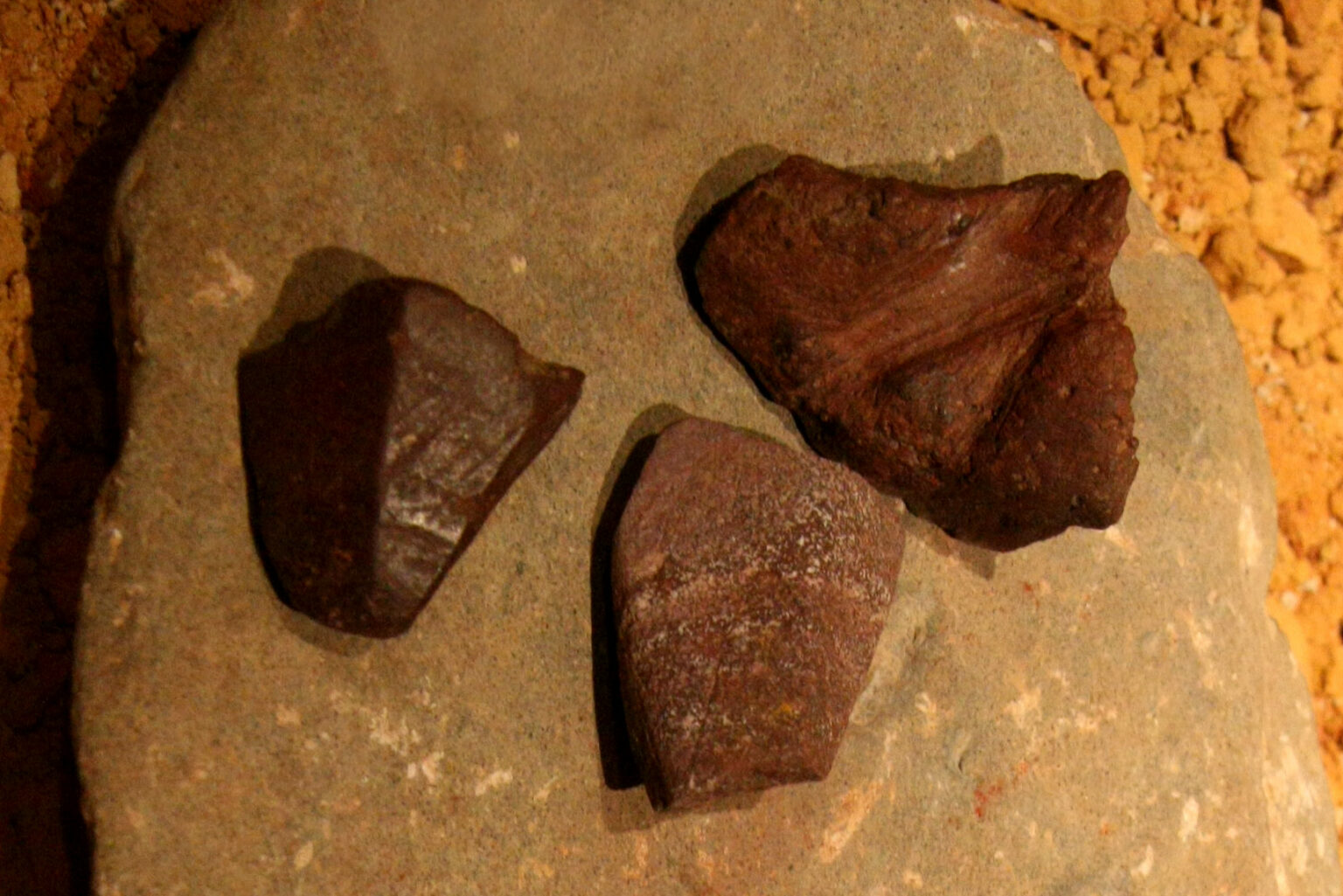 L’ocre, premier pigment à la Préhistoire - Hominides
