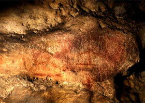 Les tectiformes - Hominides