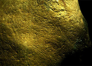 Les tectiformes - Hominides