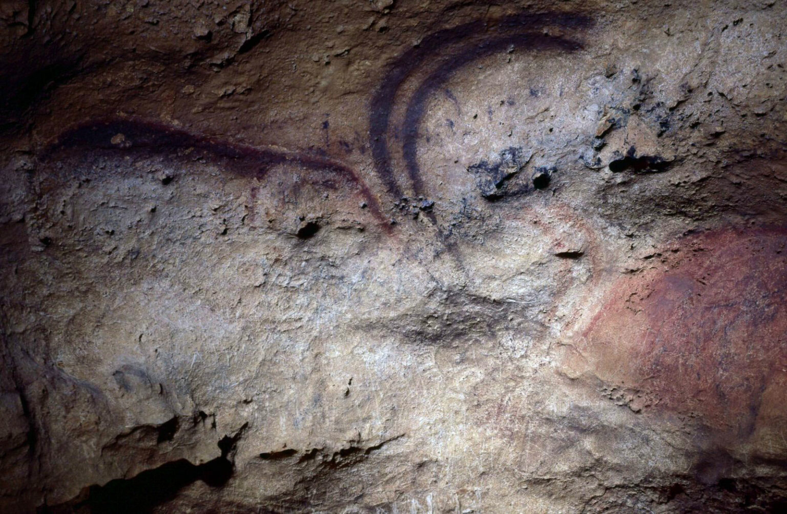 Font-de-Gaume - Hominides