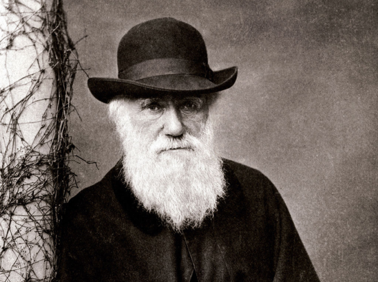 Evolutionnisme - Charles Darwin - Hominides