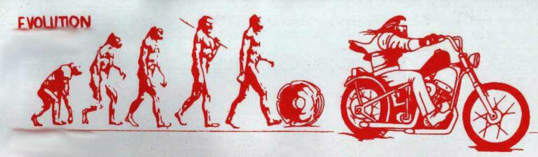 L'étonnant destin de la frise de l'évolution - Hominides