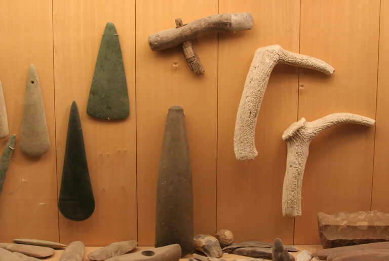 Les outils et techniques du Néolithique - Hominides