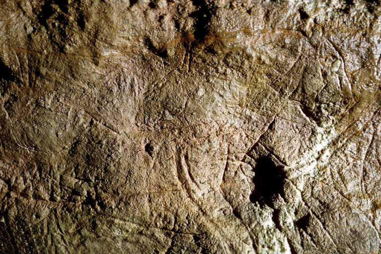 Combarelles grotte - Hominides