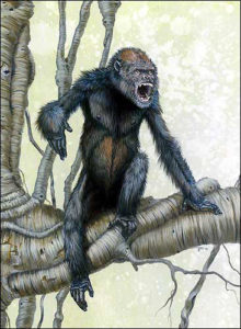 Pierolapithecus catalaunicus - Hominides