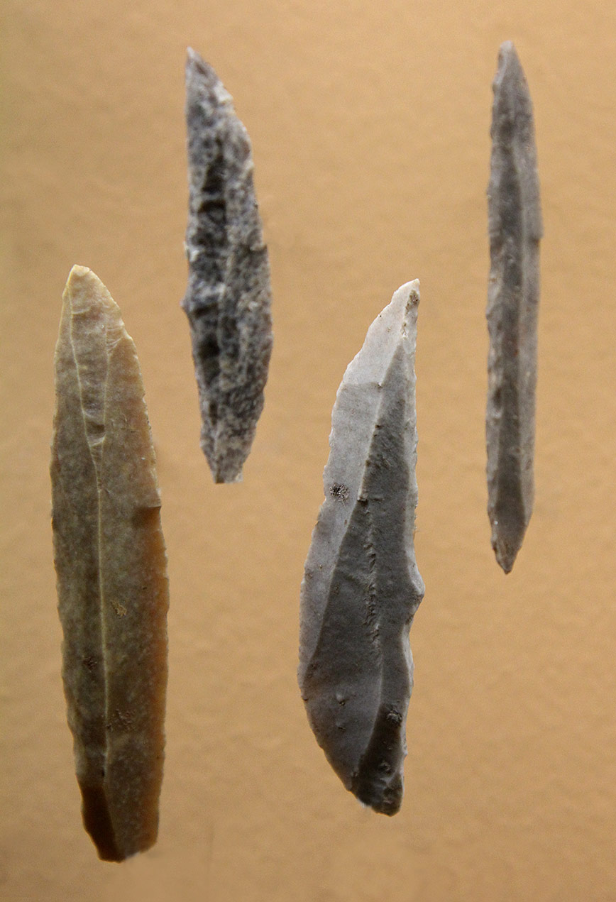 Gravettien - Hominides