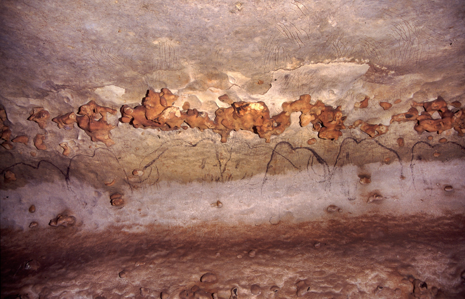 Rouffignac grotte - Hominides