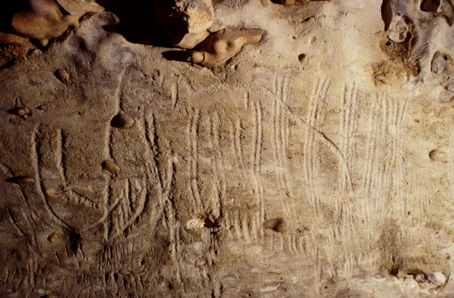 Rouffignac grotte - Hominides