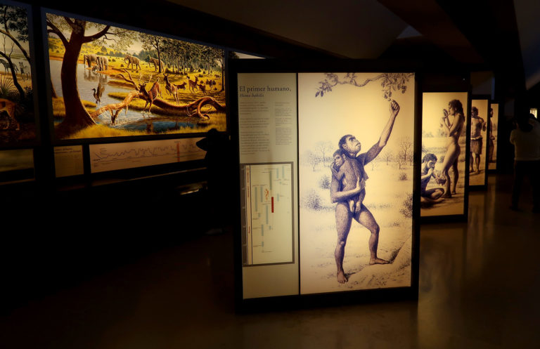 Cova Dones : découverte d’une grotte ornée de – 24 000 ans en Espagne ...