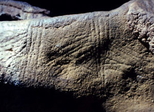 Bernifal Grotte - Hominides