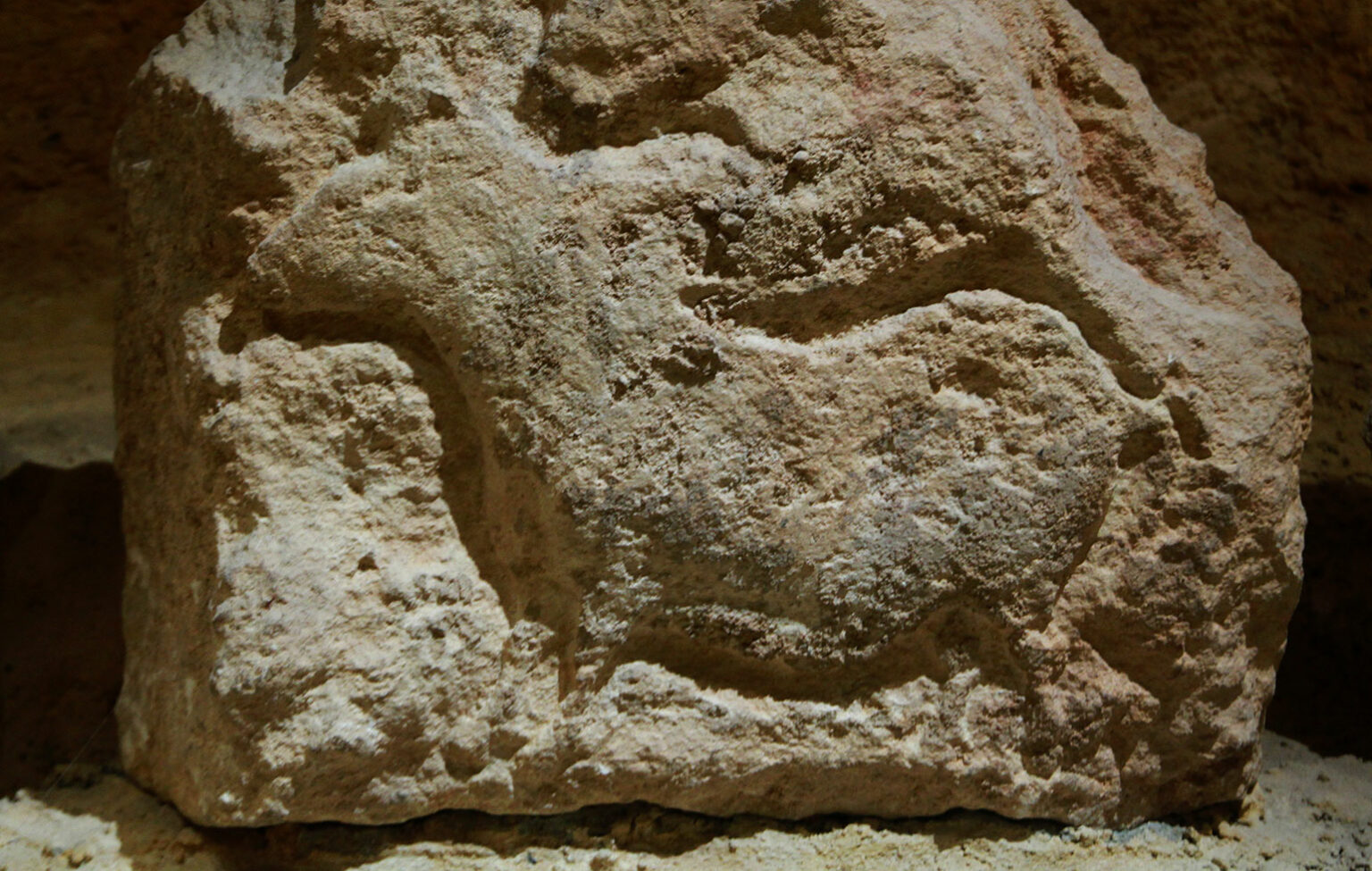 Cheval du Paléolithique - Hominides