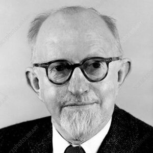 Théorie synthétique de l'évolution - Néo-darwinisme - Hominides