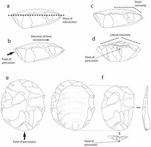 Technique Levallois : une véritable ingénierie - Hominides