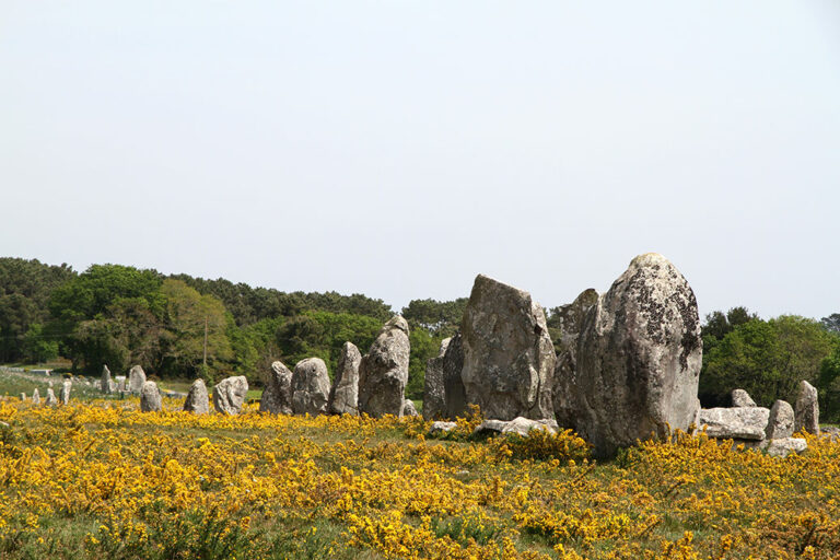 Les alignements de Carnac - Hominides