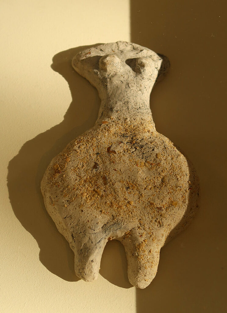 Néolithique, aux origines de l'agriculture - Hominides