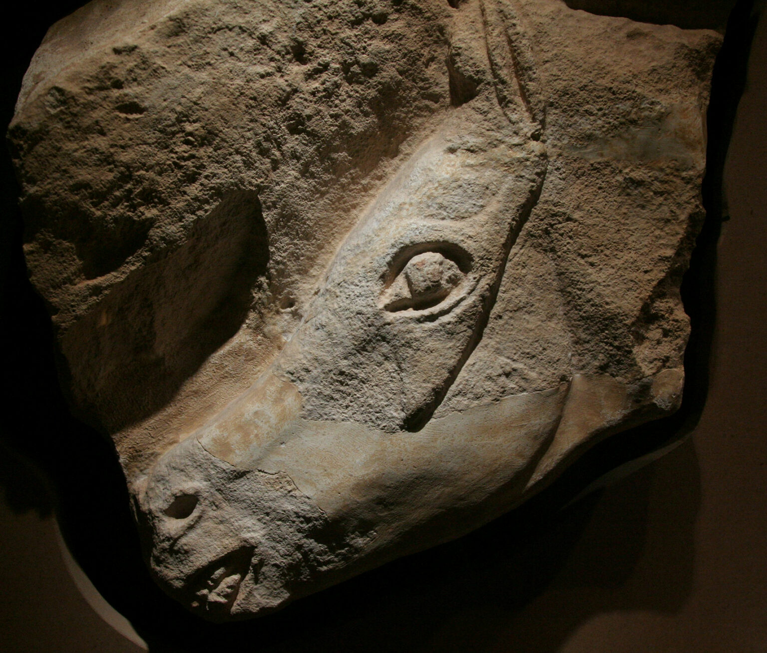 Nouveaux apports de l’archéogénétique dans l’étude du Néolithique en ...