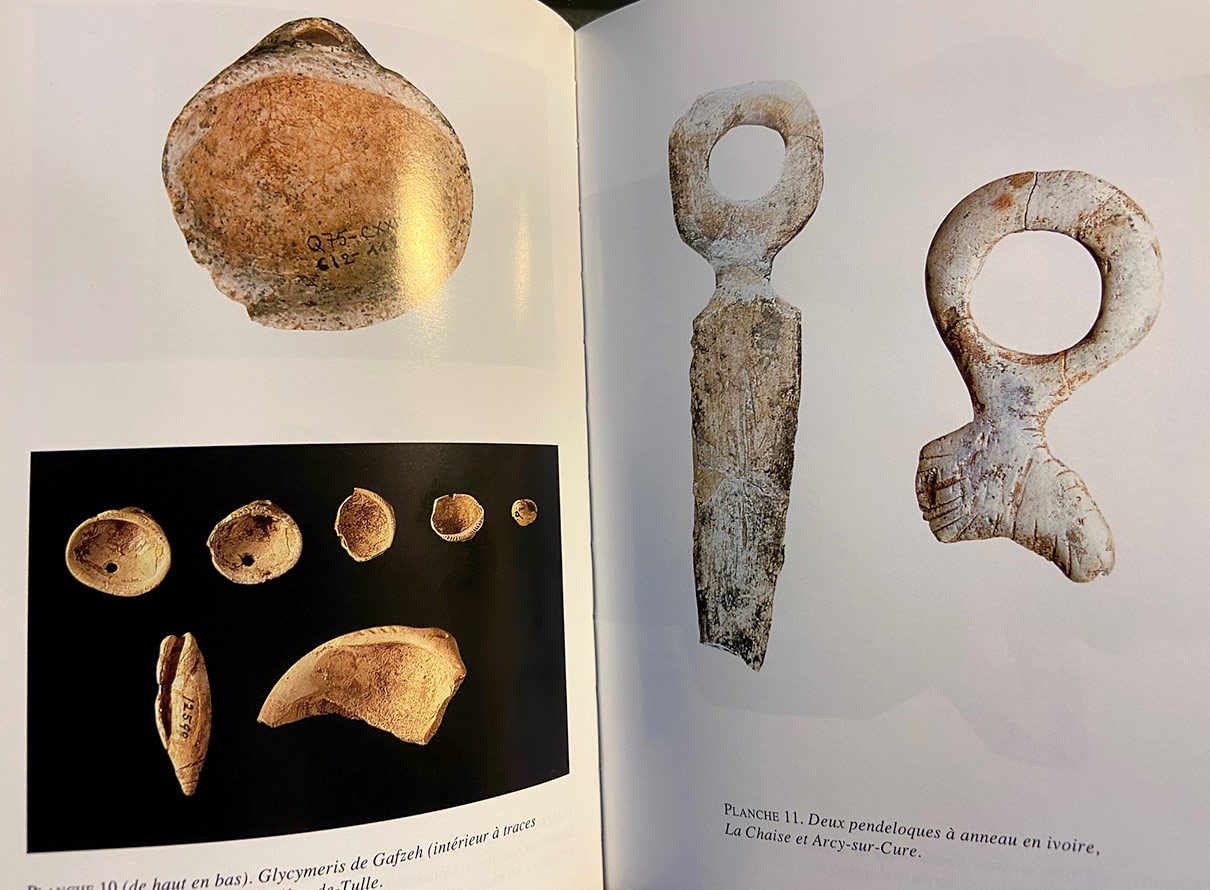 Langage sans parole - Hominides