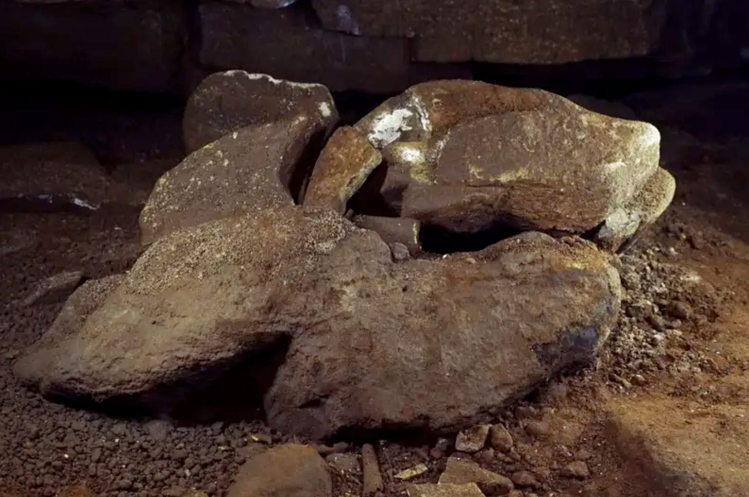 Les nouvelles aventures d’Homo naledi et le feu - Hominides