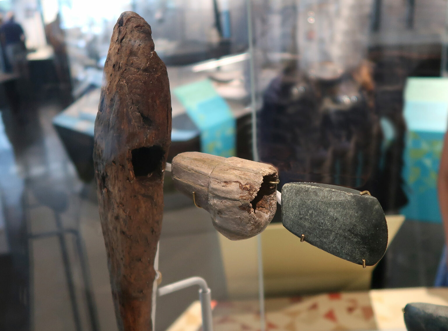 Les outils et techniques du Néolithique - Hominides