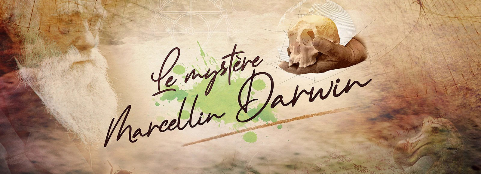 Evolutionnisme - Charles Darwin - Hominides