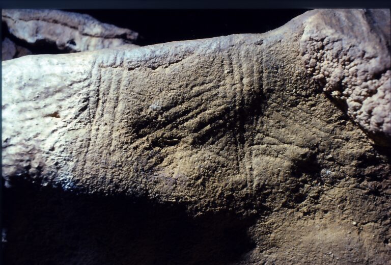 Bernifal Grotte - Hominides