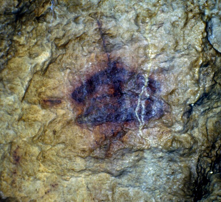 Bernifal Grotte - Hominides