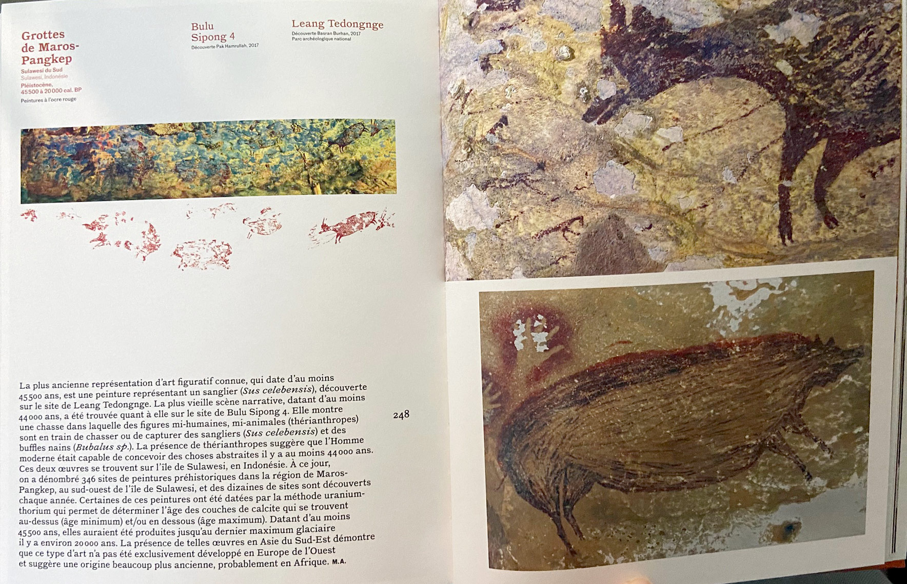 Arts et préhistoire - Hominides