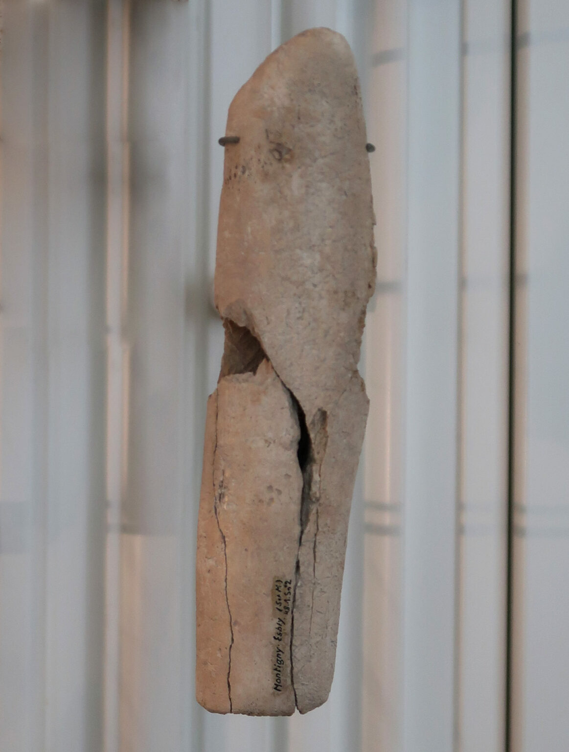 Les outils et techniques du Néolithique - Hominides