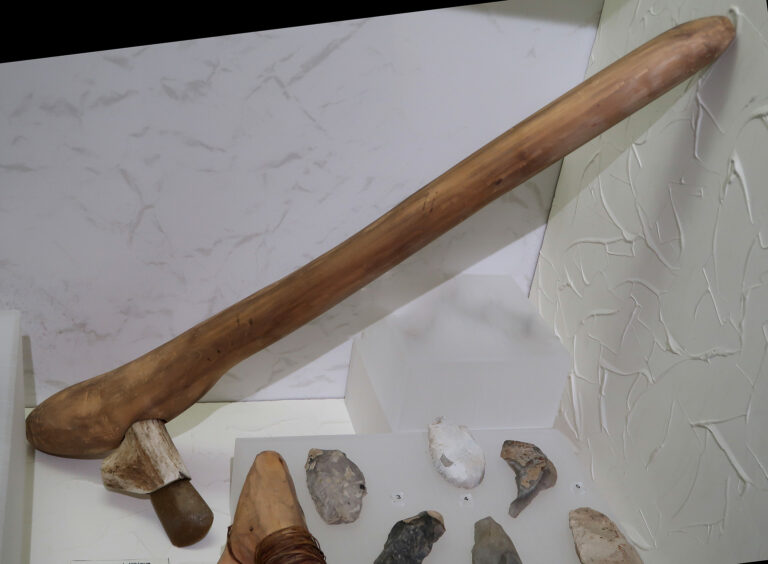 Les outils et techniques du Néolithique - Hominides