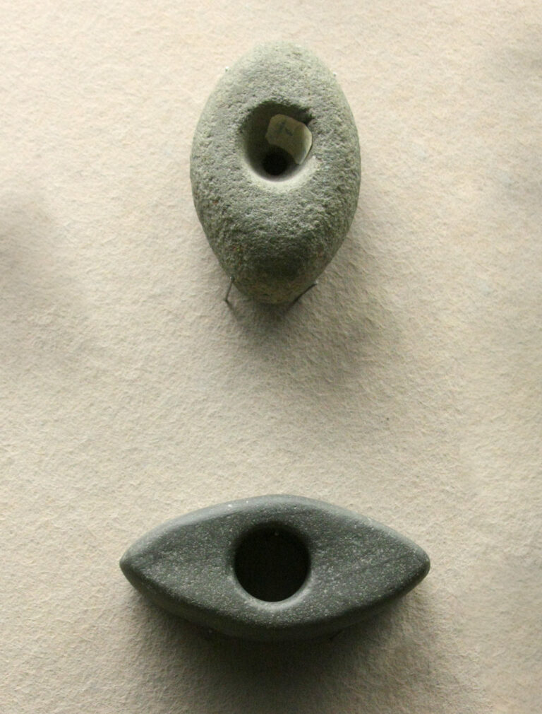 Les outils et techniques du Néolithique - Hominides