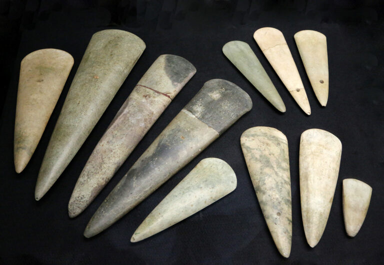 Les outils et techniques du Néolithique - Hominides