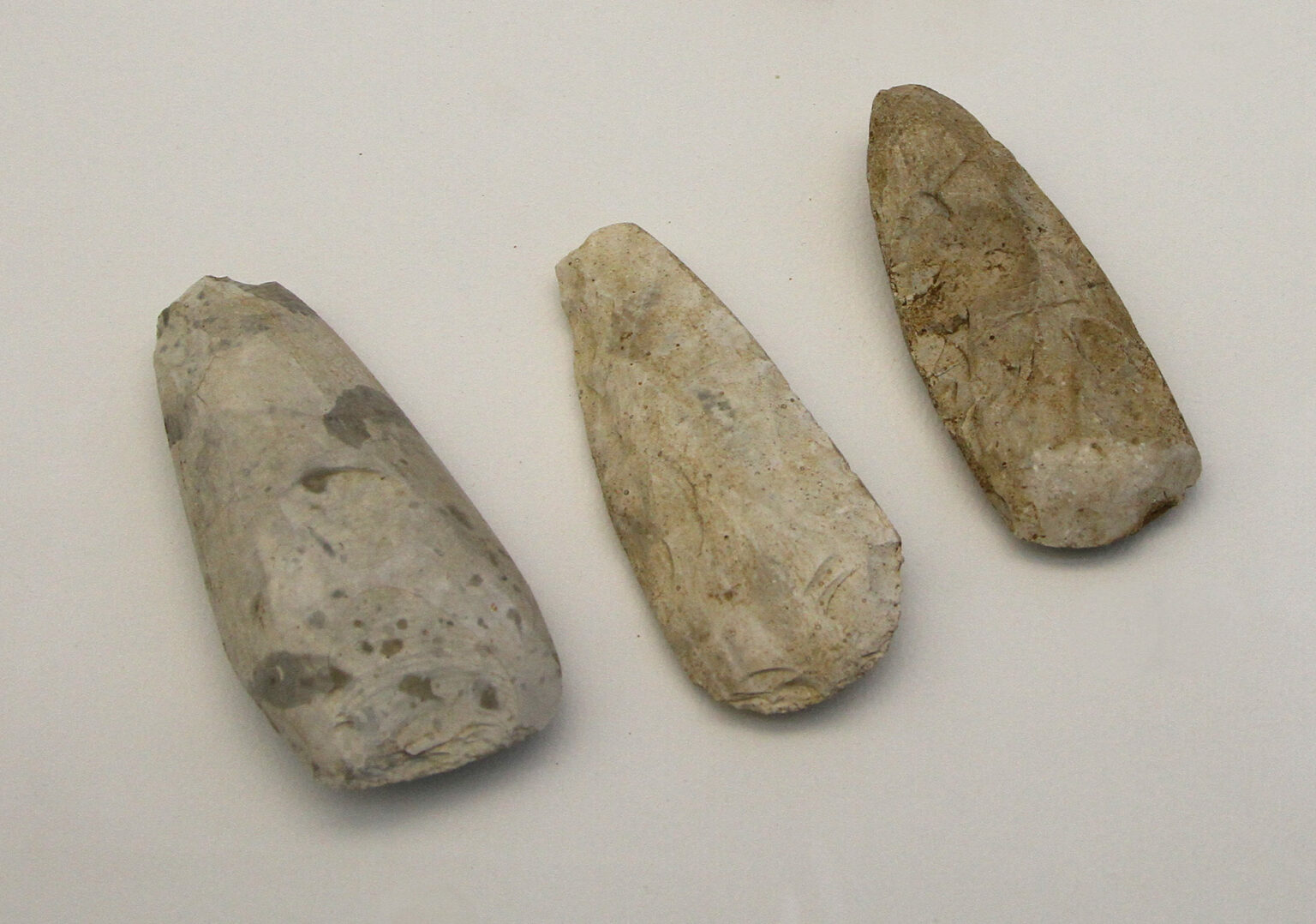 Les outils et techniques du Néolithique - Hominides