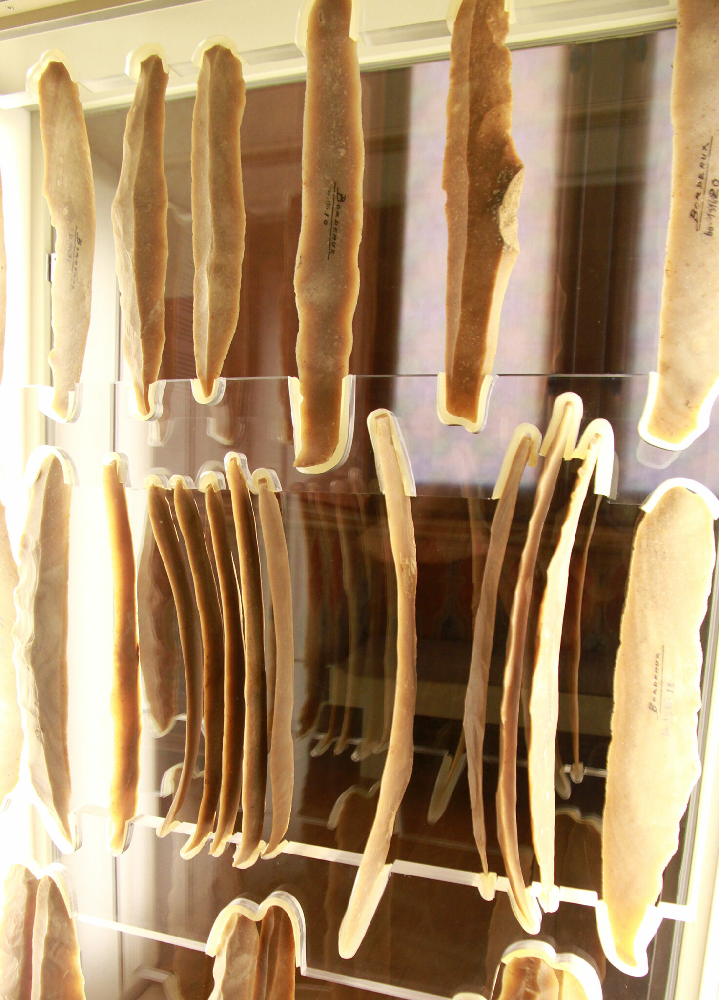 Les outils et techniques du Néolithique - Hominides