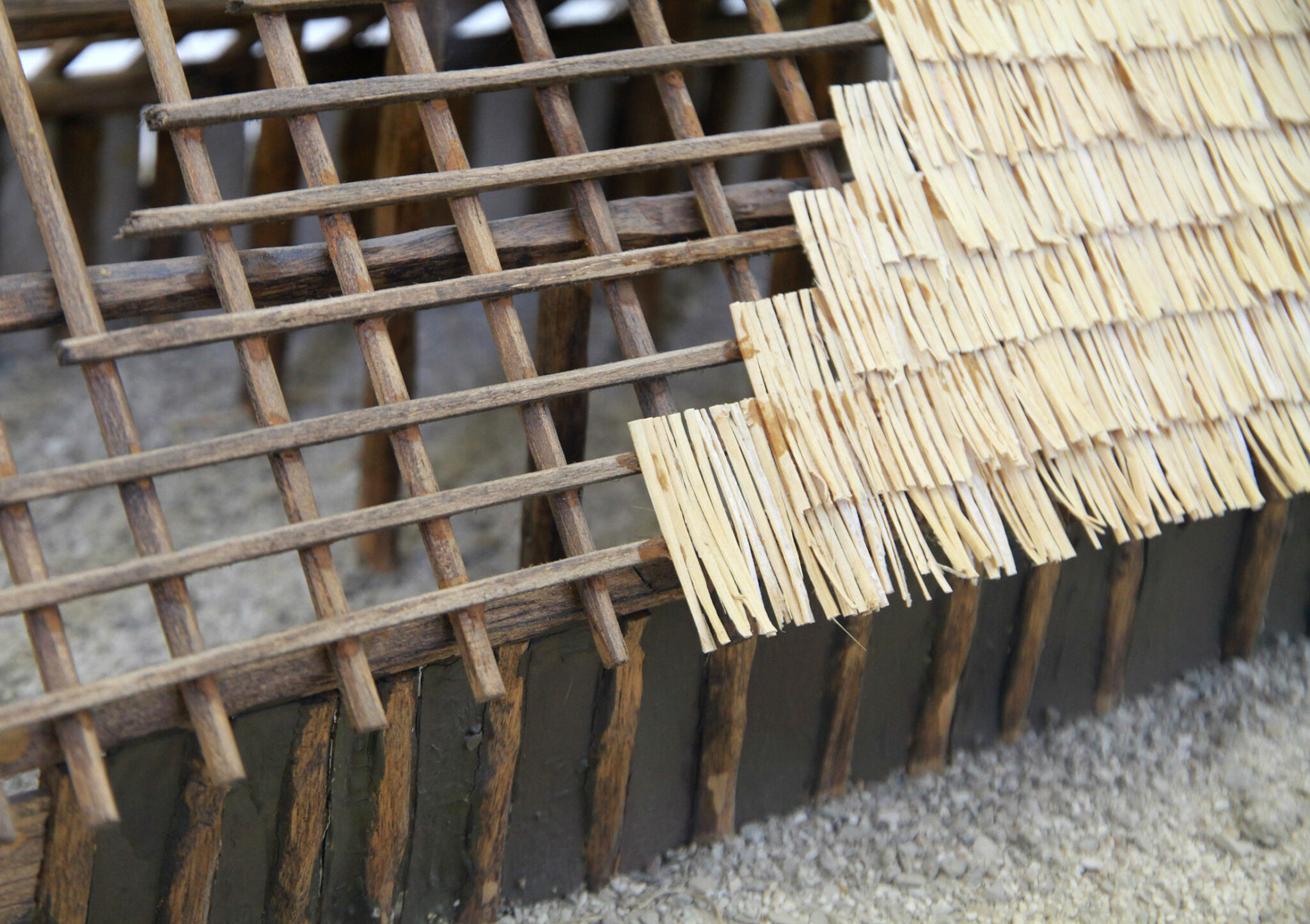 Les outils et techniques du Néolithique - Hominides
