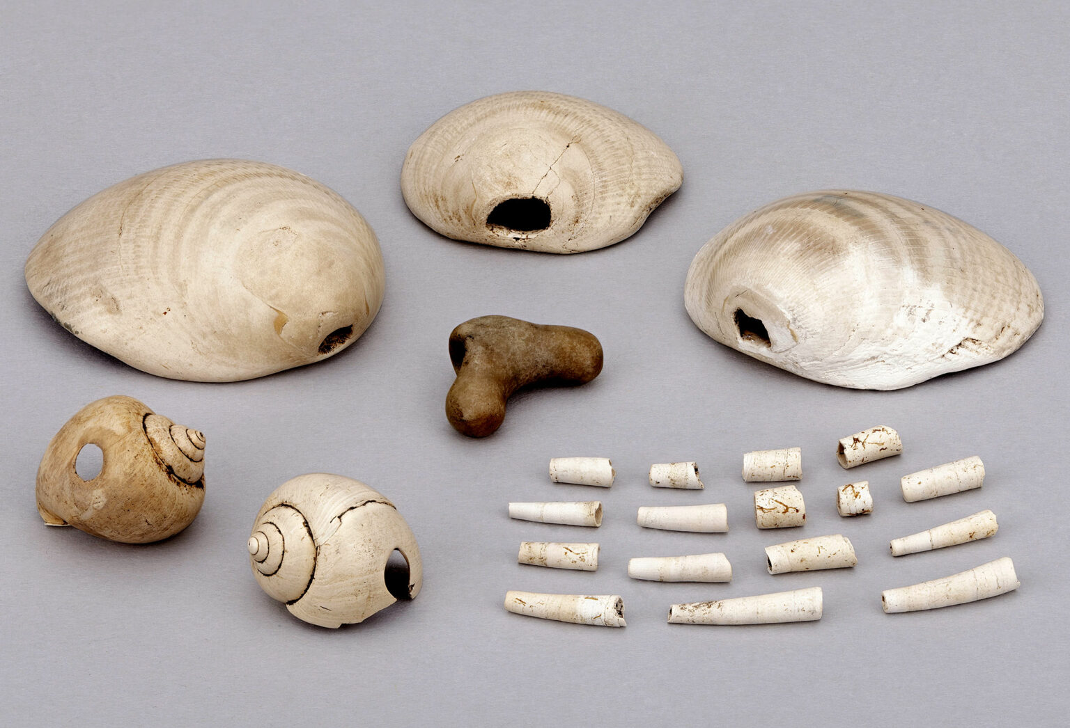 Néolithique. Les villages de Chalain & Clairvaux, patrimoine de l ...