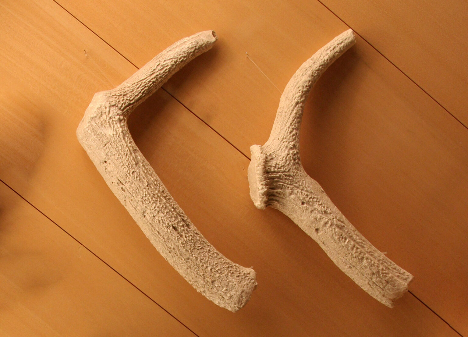 Les outils et techniques du Néolithique - Hominides