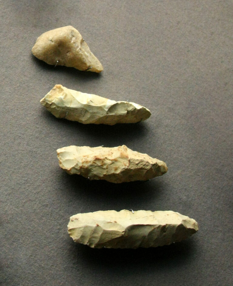 Les outils et techniques du Néolithique - Hominides