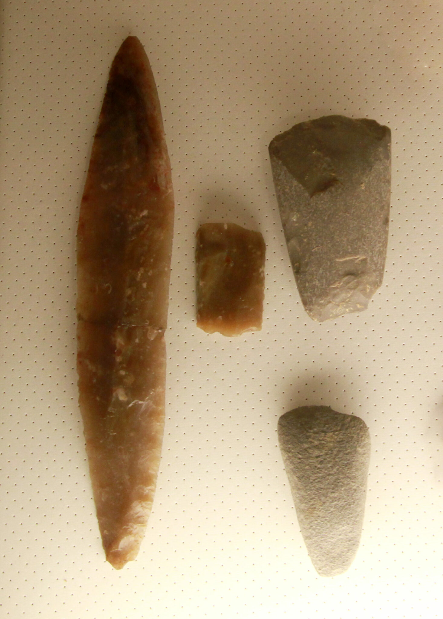 Les outils et techniques du Néolithique - Hominides