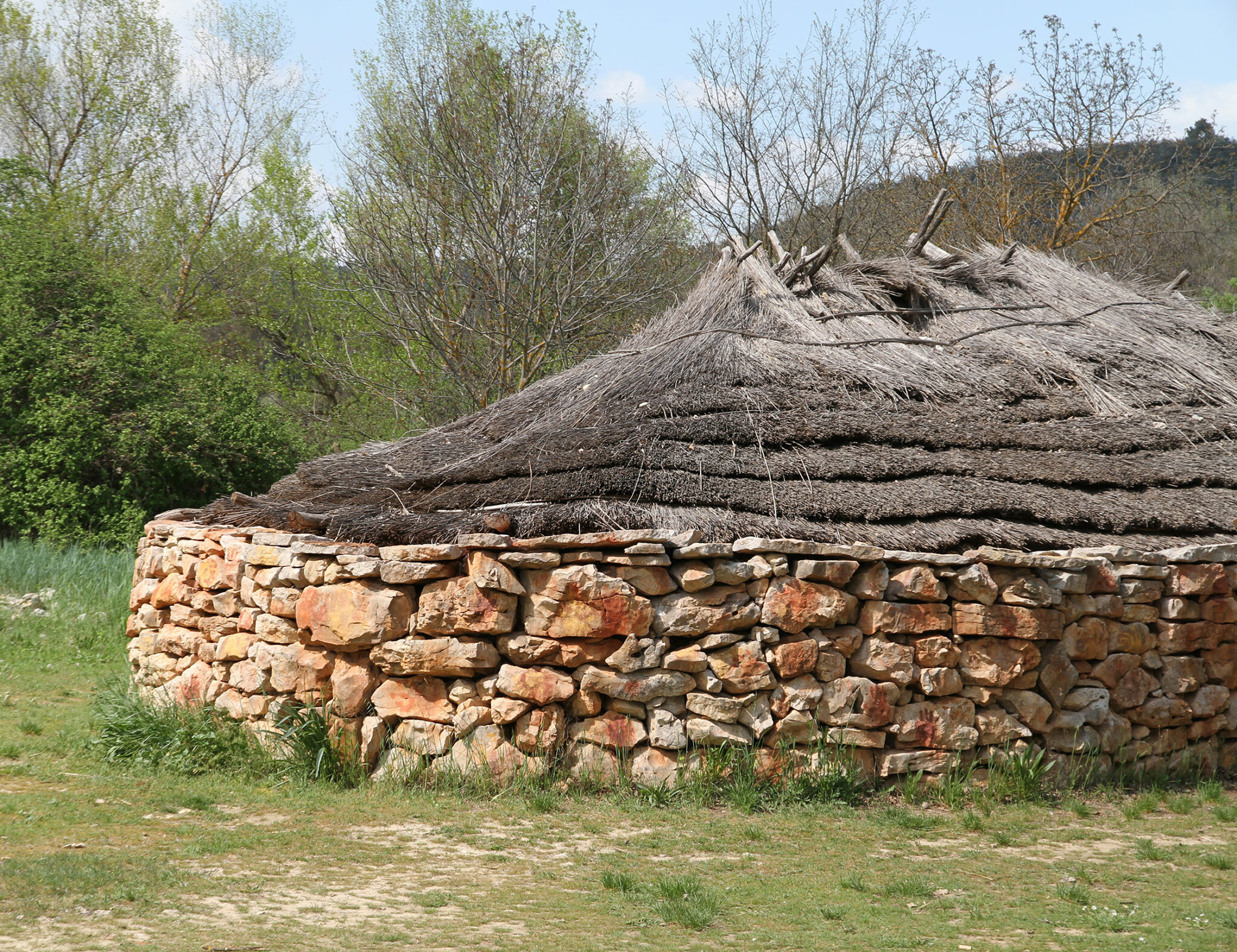 Les outils et techniques du Néolithique - Hominides