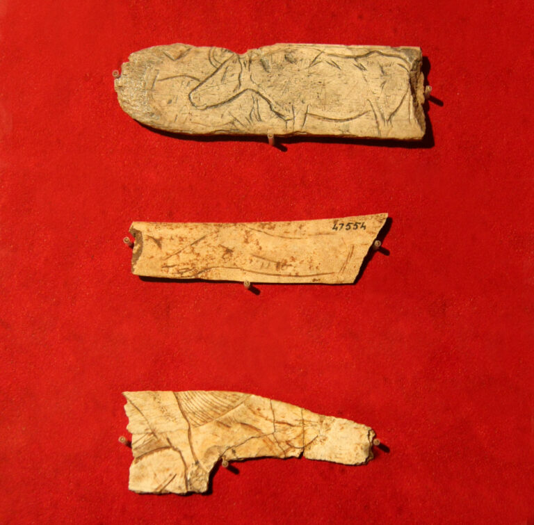 Grotte du Mas d'Azil - Hominides