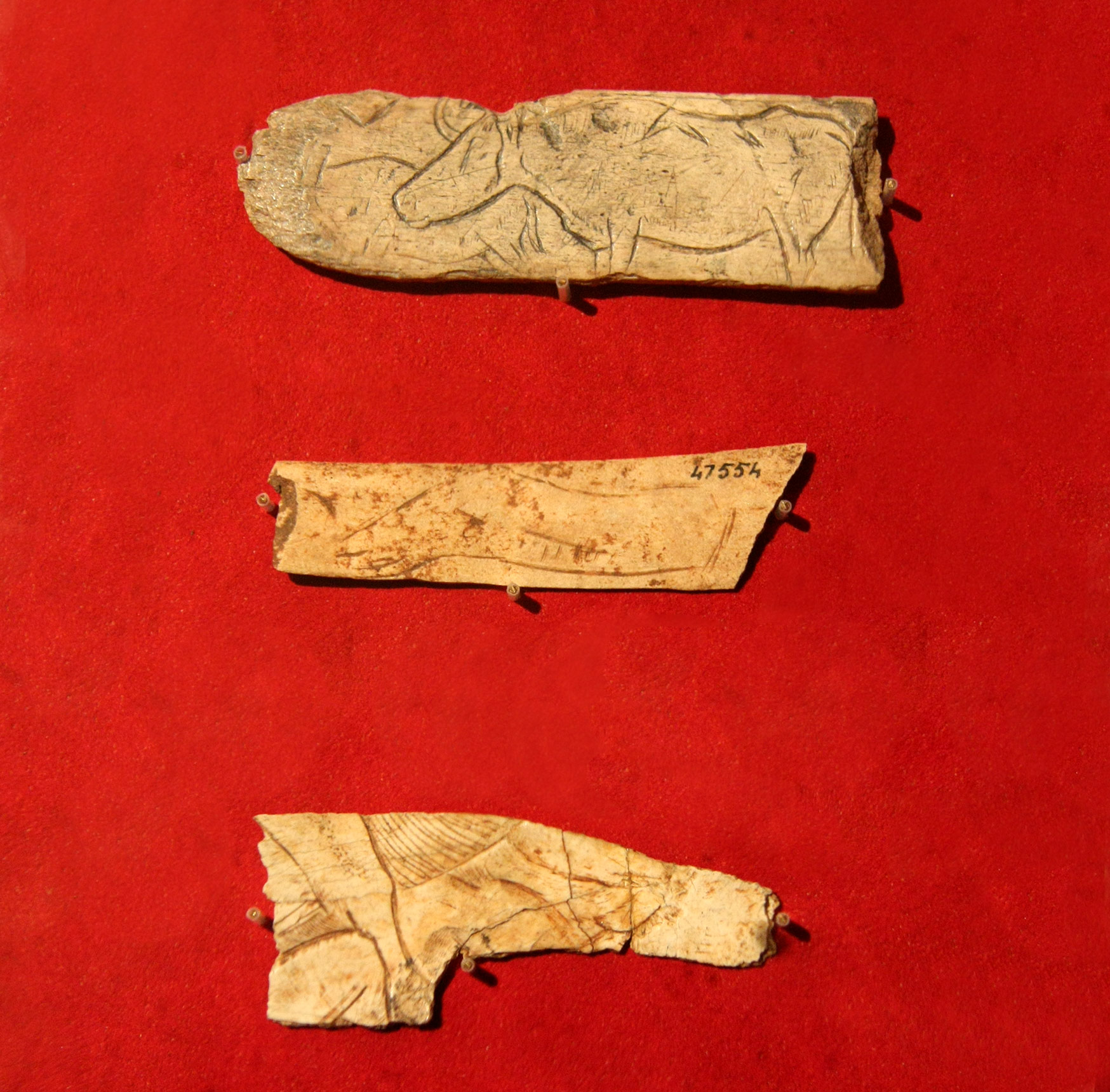 Grotte du Mas d'Azil - Hominides