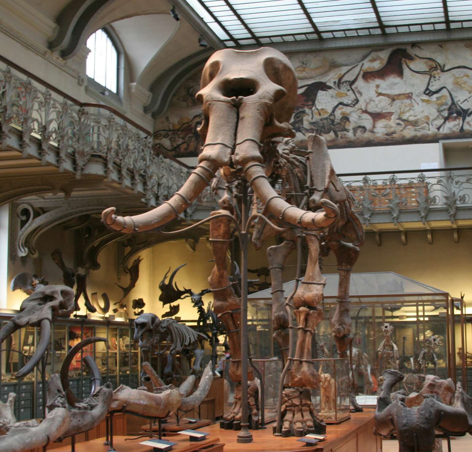 Evolutionnisme - Charles Darwin - Hominides